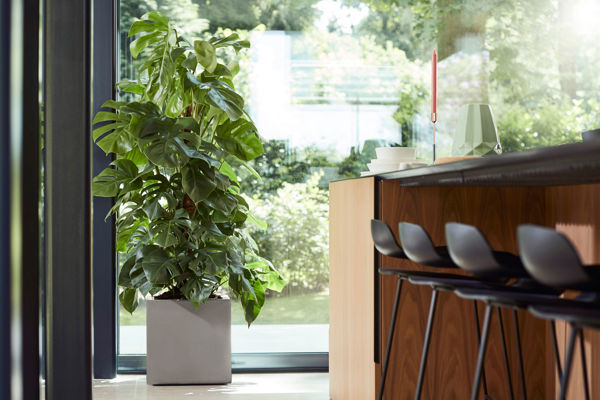 elho vivo collection - Buy online or in store! - elho® - Give room to ...