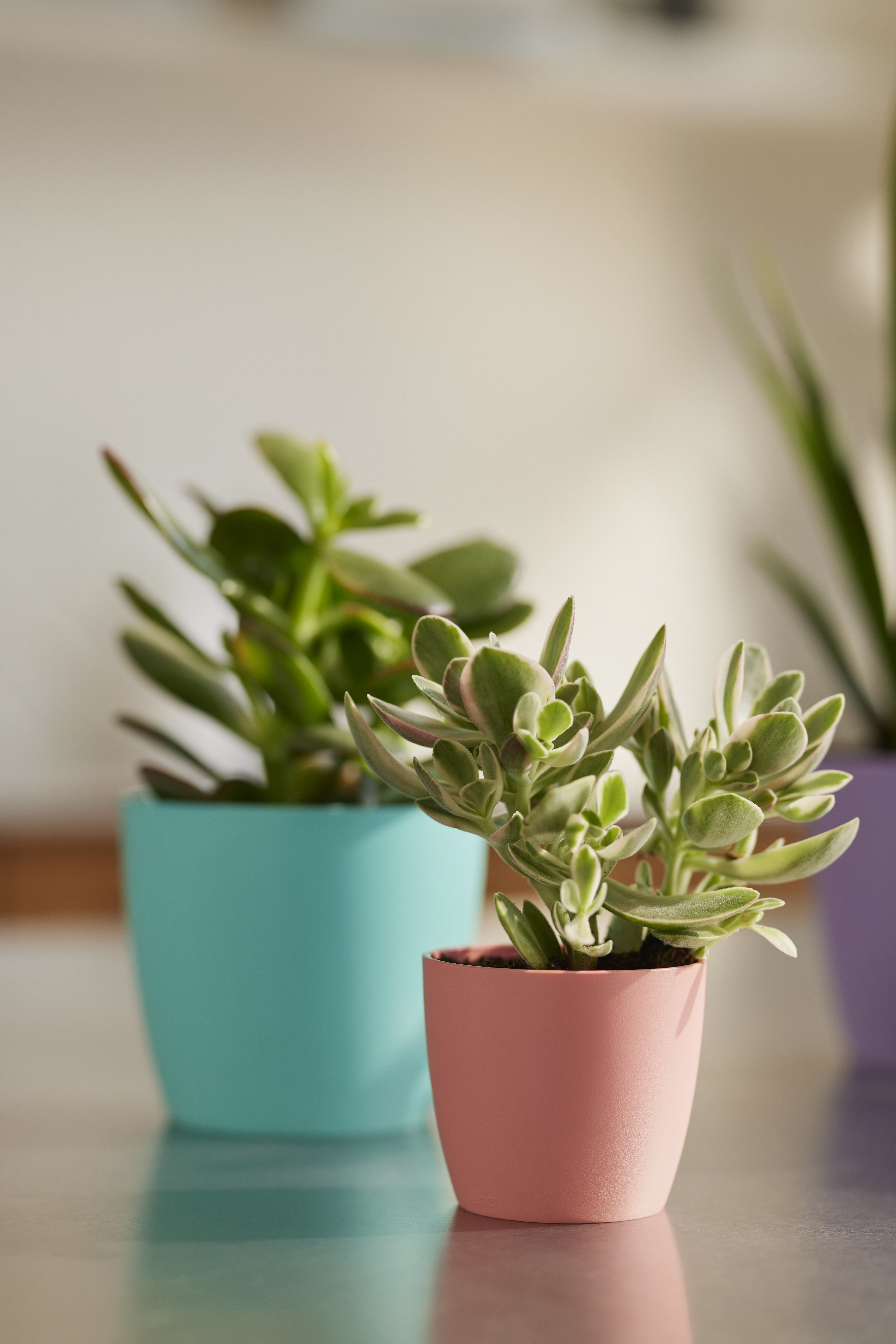 elho flowerpots and planters