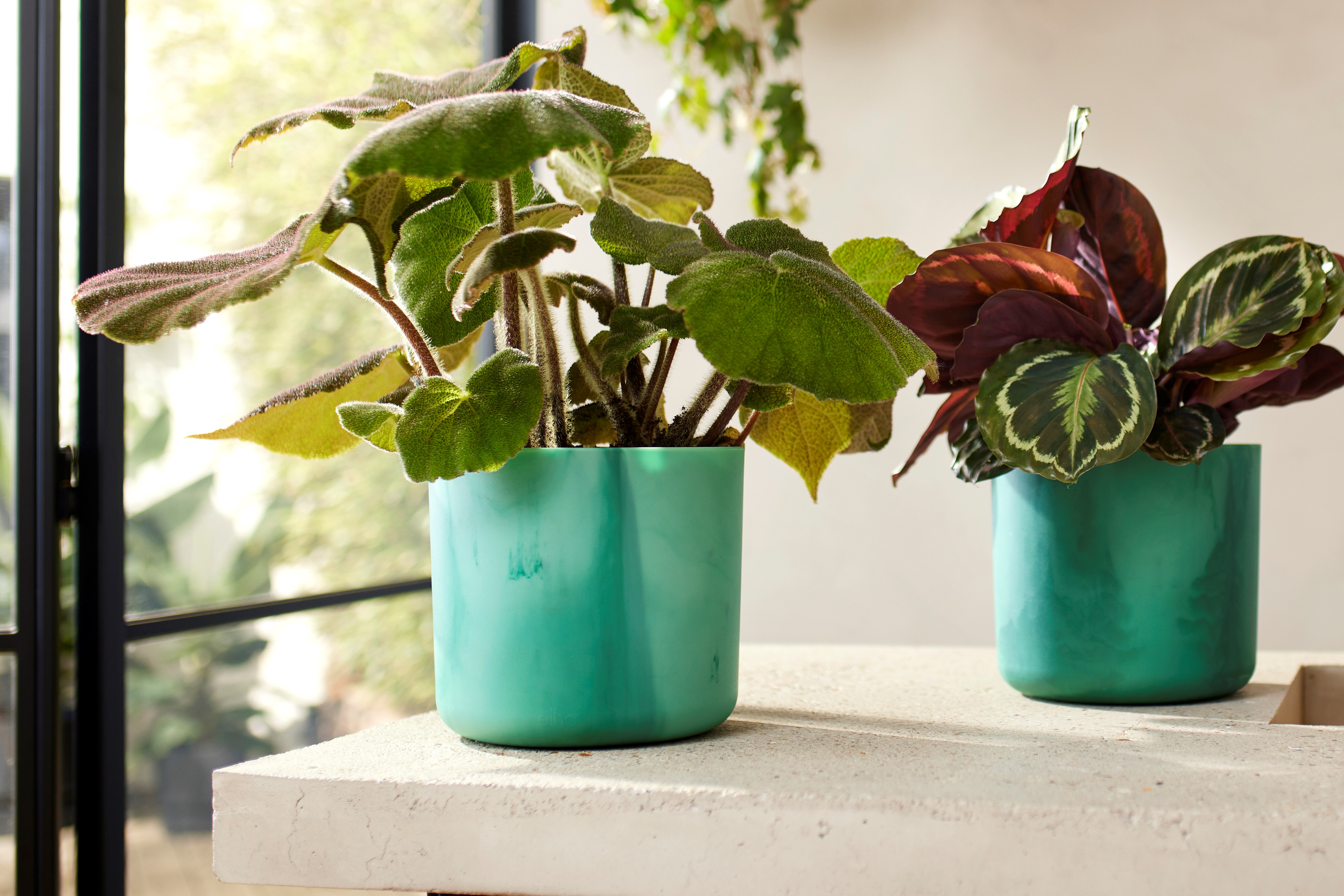 elho flowerpots and planters