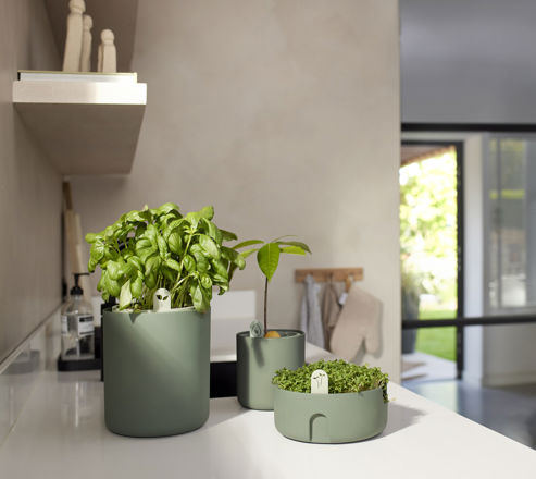 elho self watering inserts collection - Buy online or in store! - elho ...