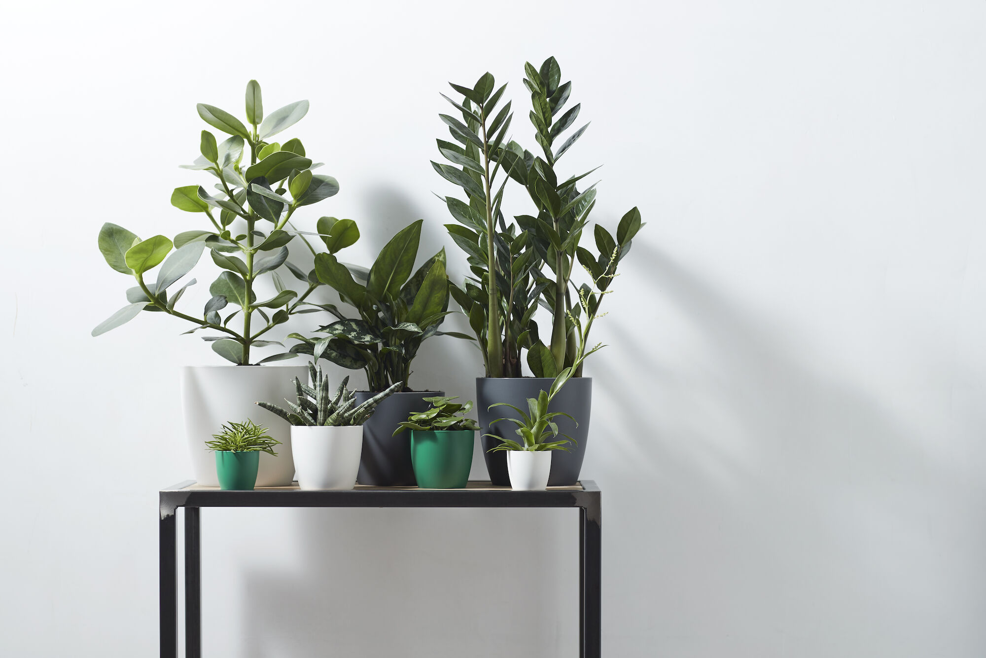 elho flowerpots and planters