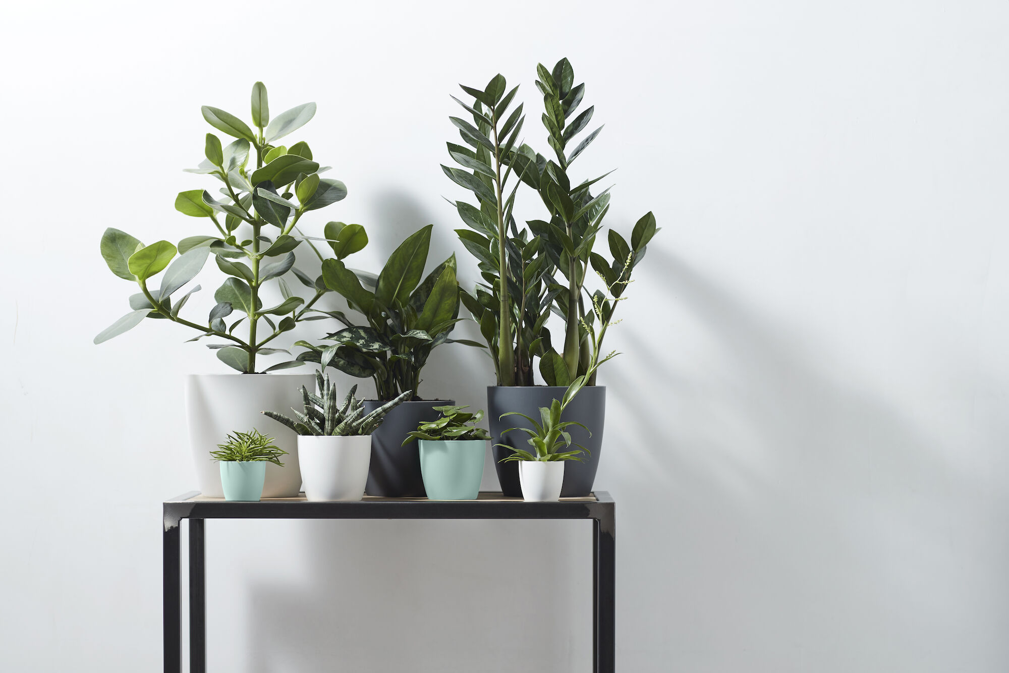 elho flowerpots and planters - elho® - Give room to nature