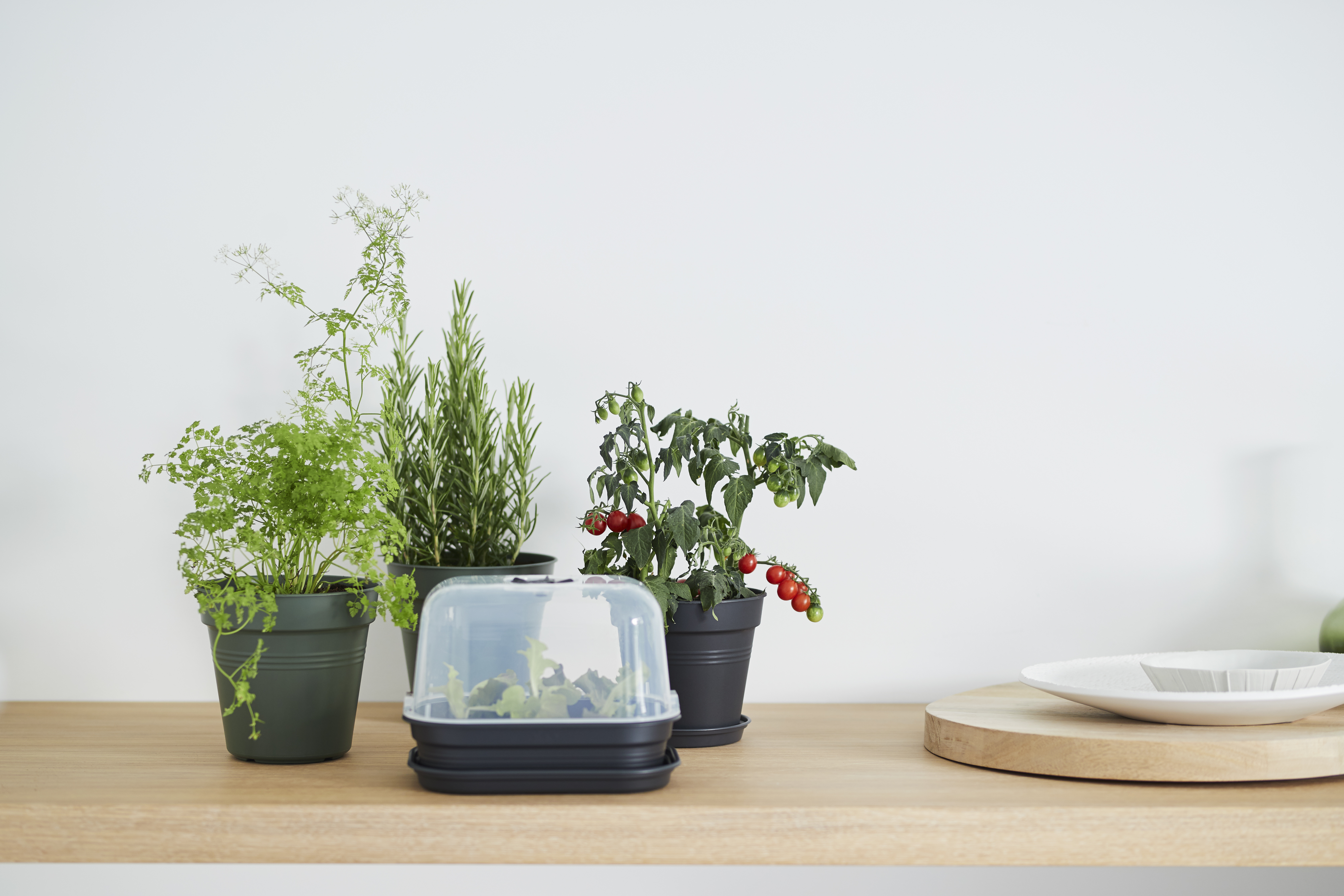 Shop the look - elho® - Give room to nature