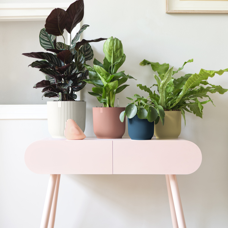 elho vibes collection - Buy online or in store! - elho® - Give room to ...